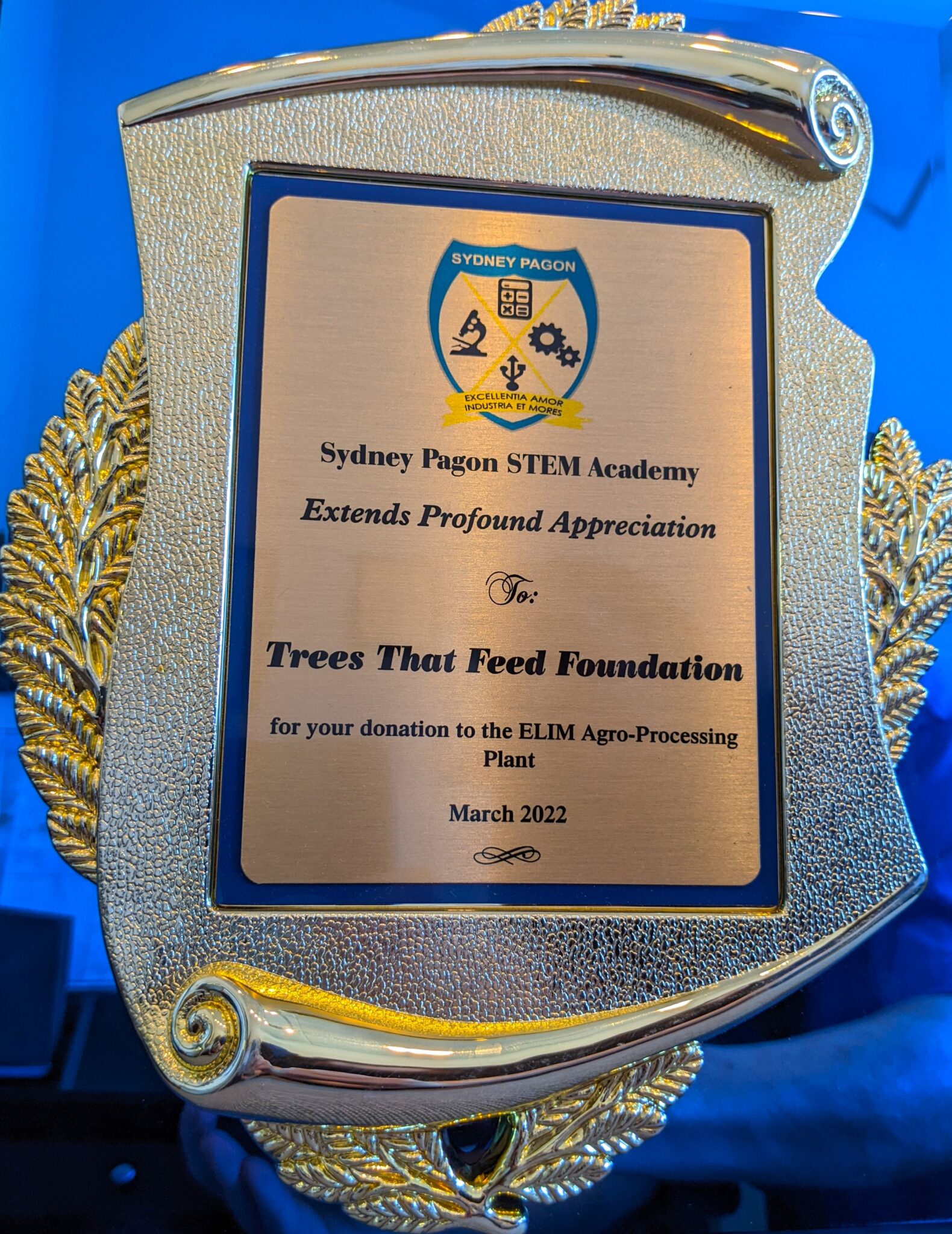 Planting Fruit Trees To Change Lives | Trees That Feed Foundation