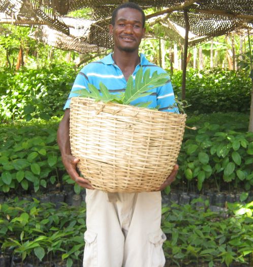 Donate A Fruit Tree Today. Your Donation Changes Lives.