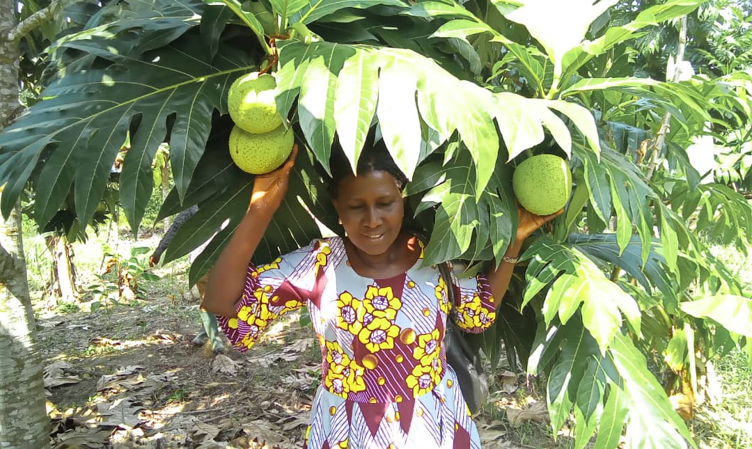 Heroes in Ghana - Trees That Feed Foundation
