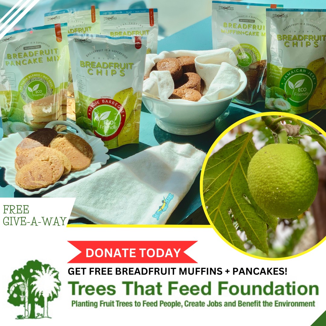 Jus Chill! Donate $15 and Get Breadfruit Treats. - Trees That Feed ...