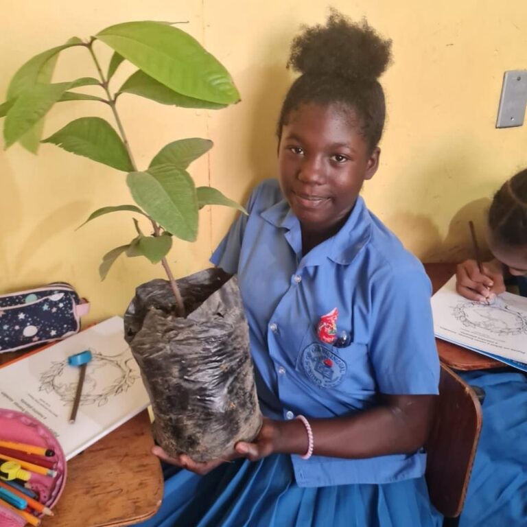 Honduras - Trees That Feed Foundation