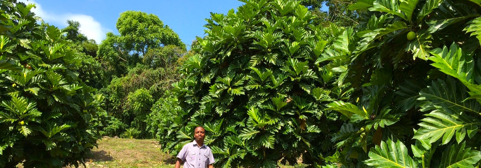 Planting Fruit Trees To Change Lives | Trees That Feed Foundation