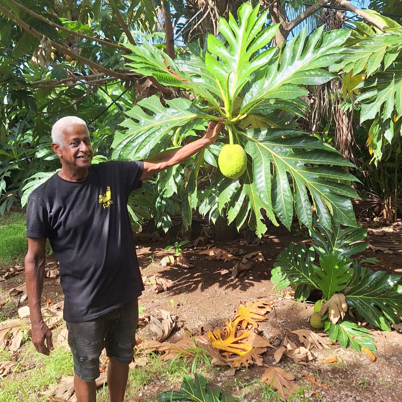 Visiting Guadeloupe and Saba - Trees That Feed Foundation