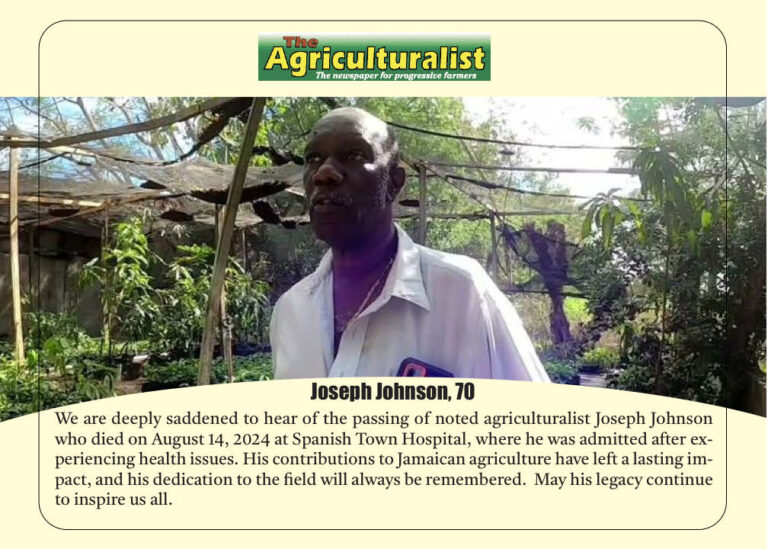 A Tribute to Joseph Johnson, TTFF Jamaica Representative - Trees That ...