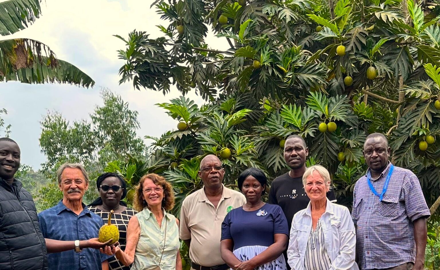Breadfruit: The Super Tree That Feeds, Employs, and Heals the Earth ...